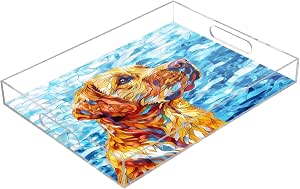 Amazon.com: Acrylic Serving Tray with Handles Colored Glass Lovely ...