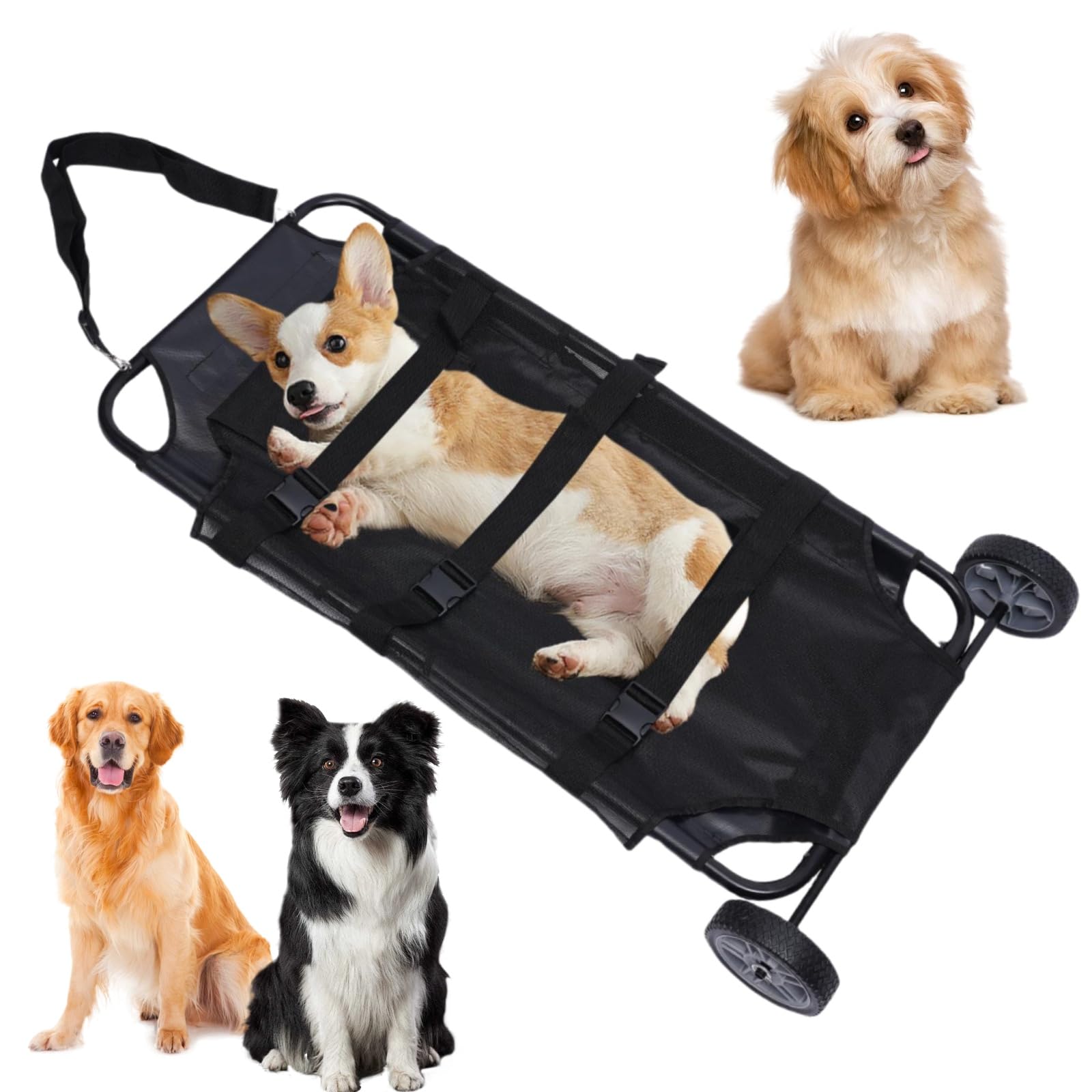 Canine Transport Cart Pet Transport Victoria Dog Transport Victoria