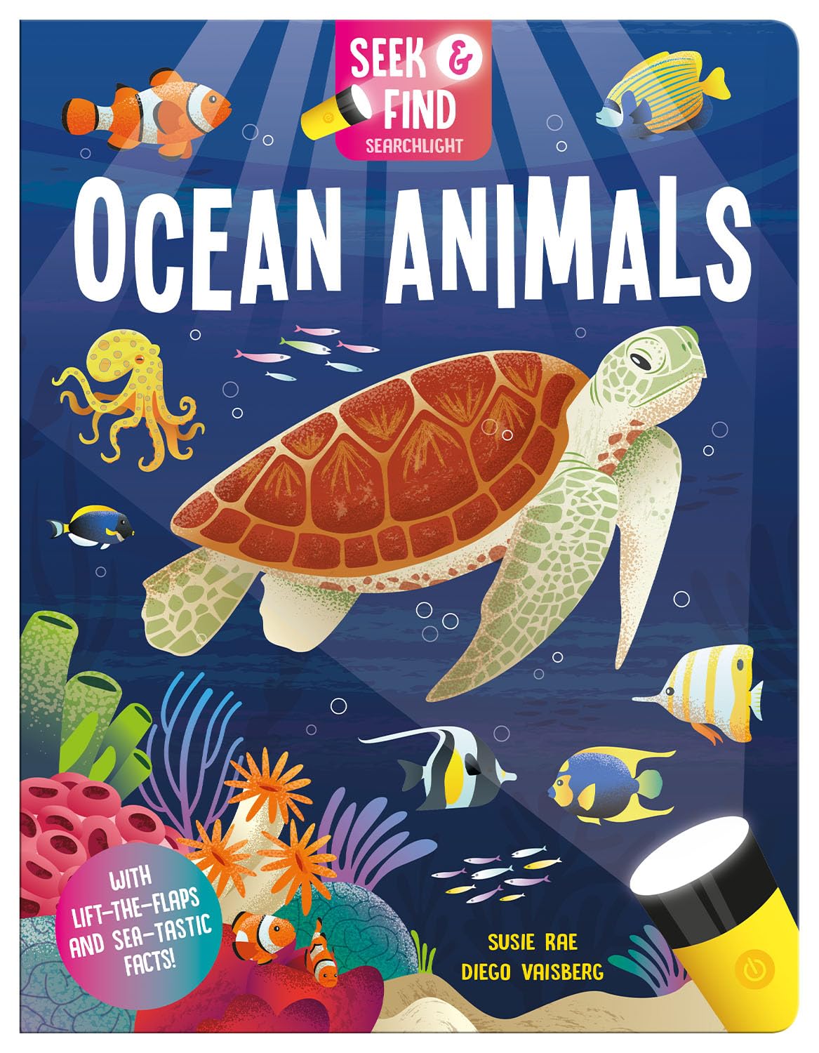 Seek and Find Ocean Animals (Seek and Find - Searchlight Books): Diego ...