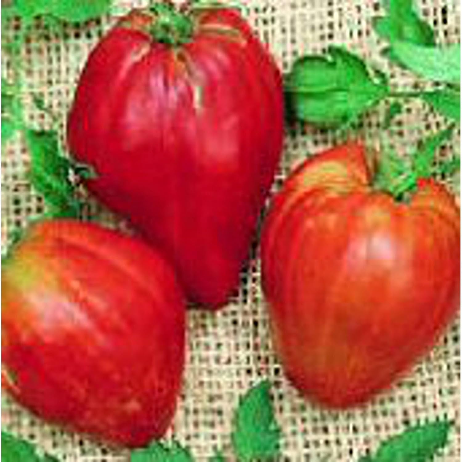 Amazon.com : Cuore de Toro Tomato Seeds (25 Seeds) Seeds for Planting ...