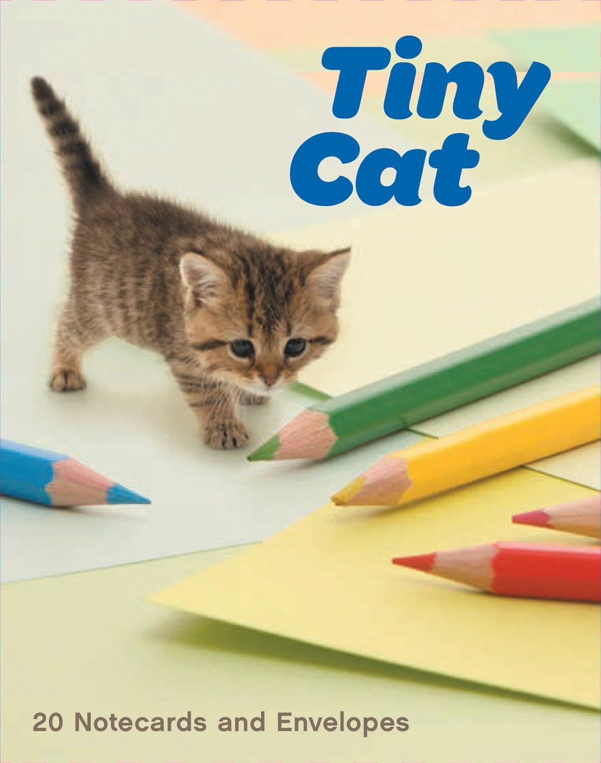 Amazon.com : Tiny Cat Notecards: 20 Notecards and Envelopes (Gift for ...