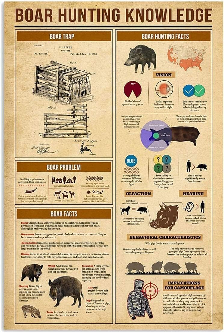 Amazon.com: Boar Hunting Knowledge Metal Tin Signs Boar Trap ...