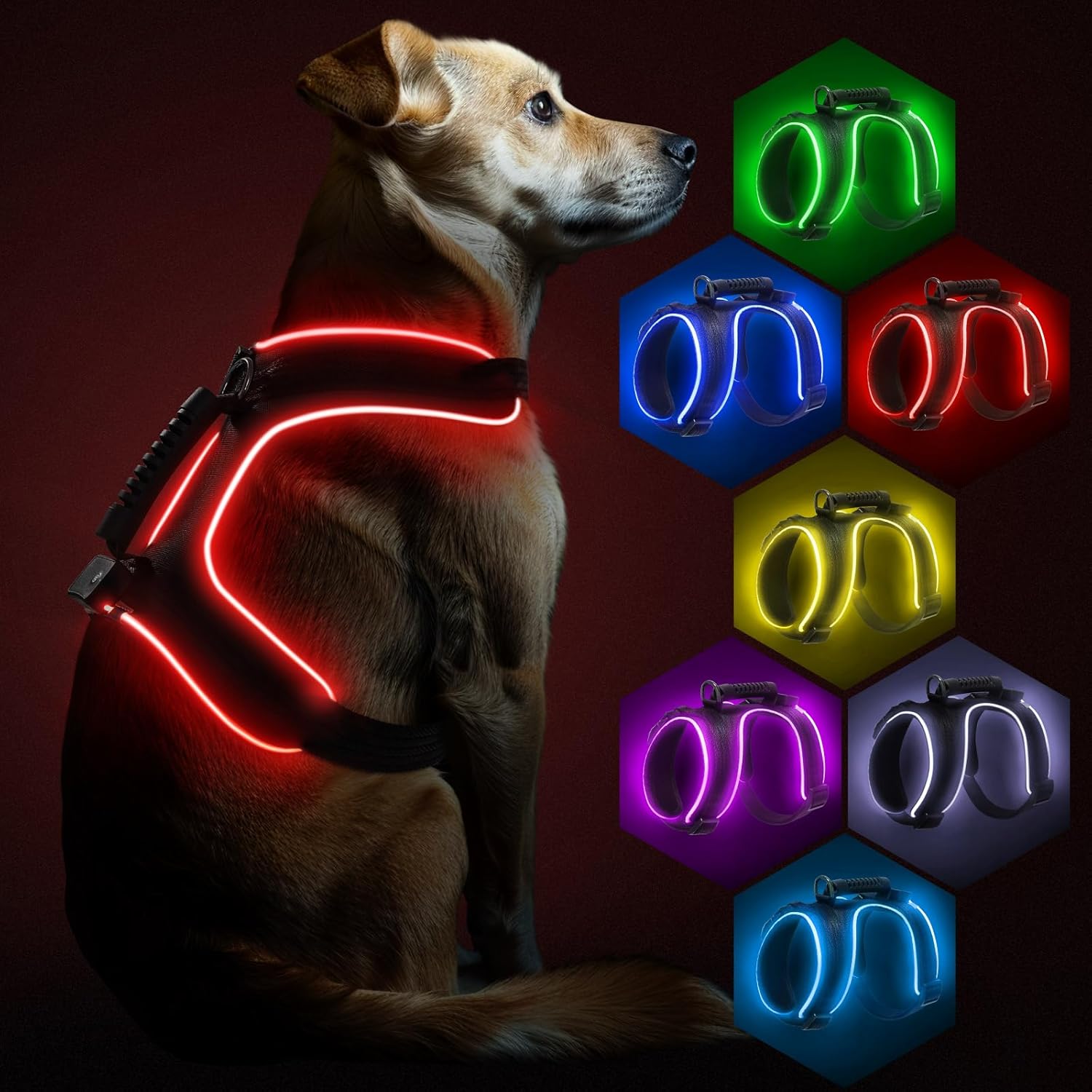 Amazon.com : Light Up Dog Harness, 7 Color Changing LED Dog Harness ...
