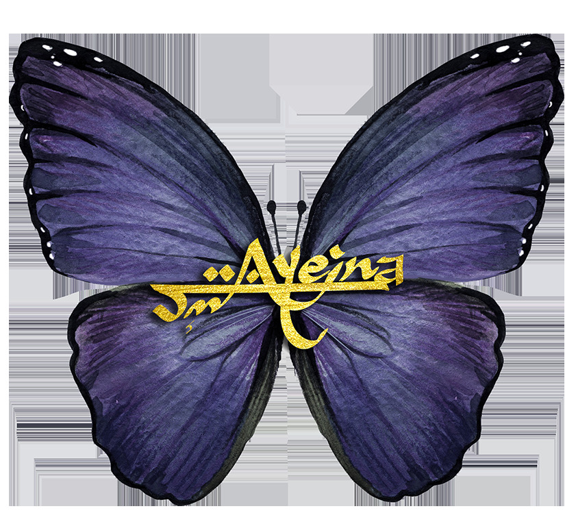 Amazon.com: Ms Samina Farooq: books, biography, latest update