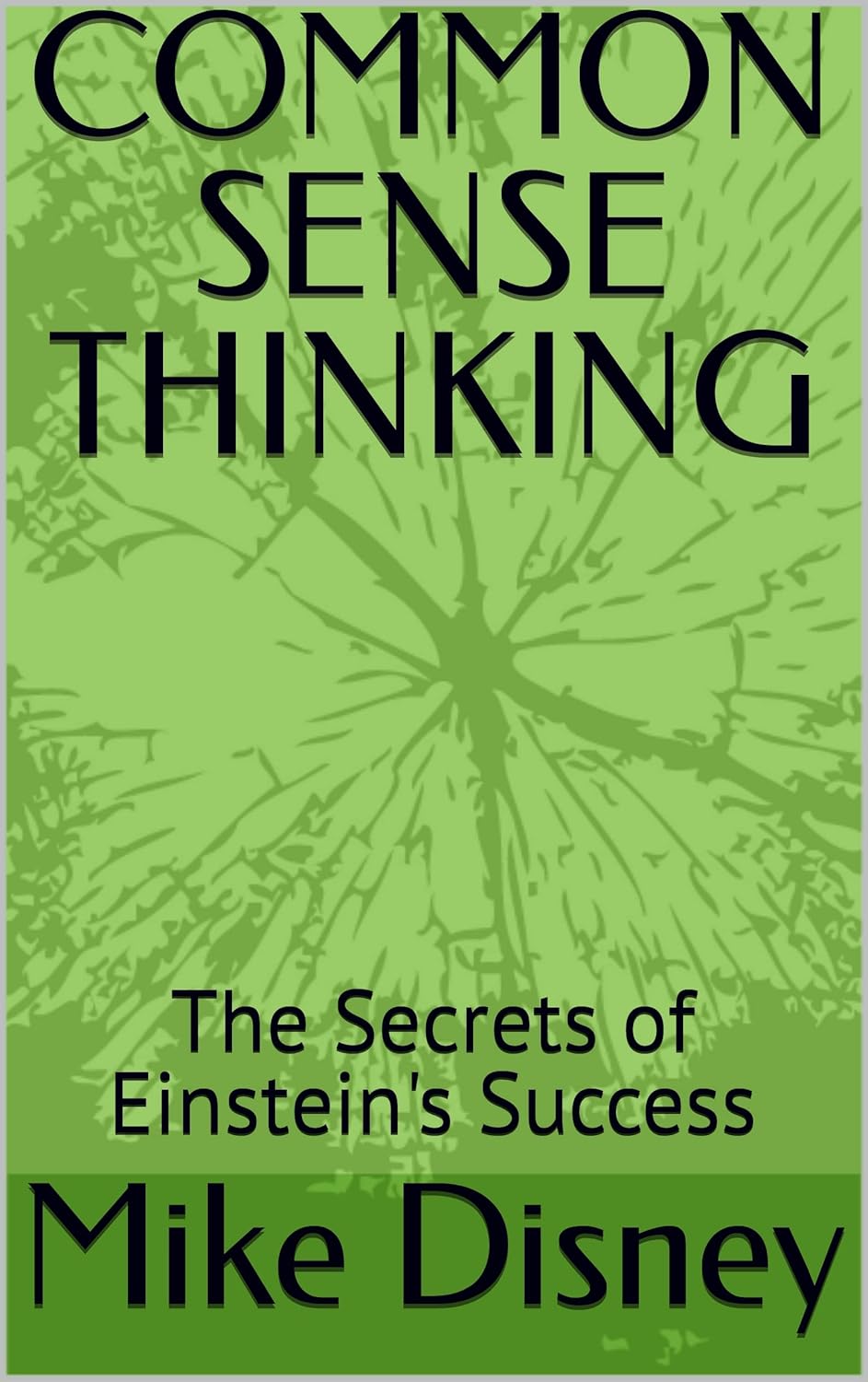 Amazon.com: COMMON SENSE THINKING: The Secrets of Einstein's Success ...