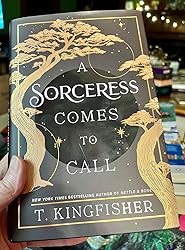 A Sorceress Comes to Call: Kingfisher, T.: 9781250244079: Amazon.com: Books