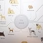 Amazon.com: Pop Chart | The Diagram of Dogs | 16" x 20" Art Poster ...