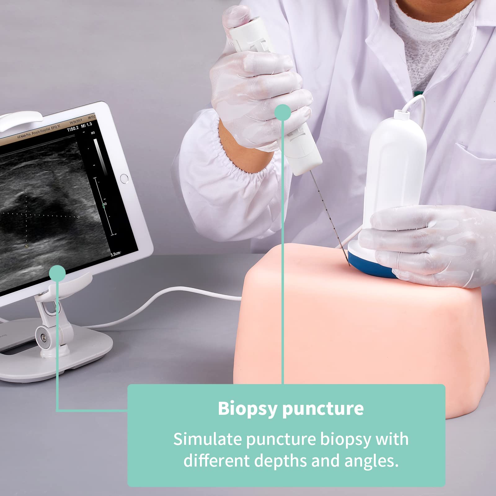 Snapklik.com : Ultrasound Puncture Model,Abdominal Practice Kit Biopsy ...