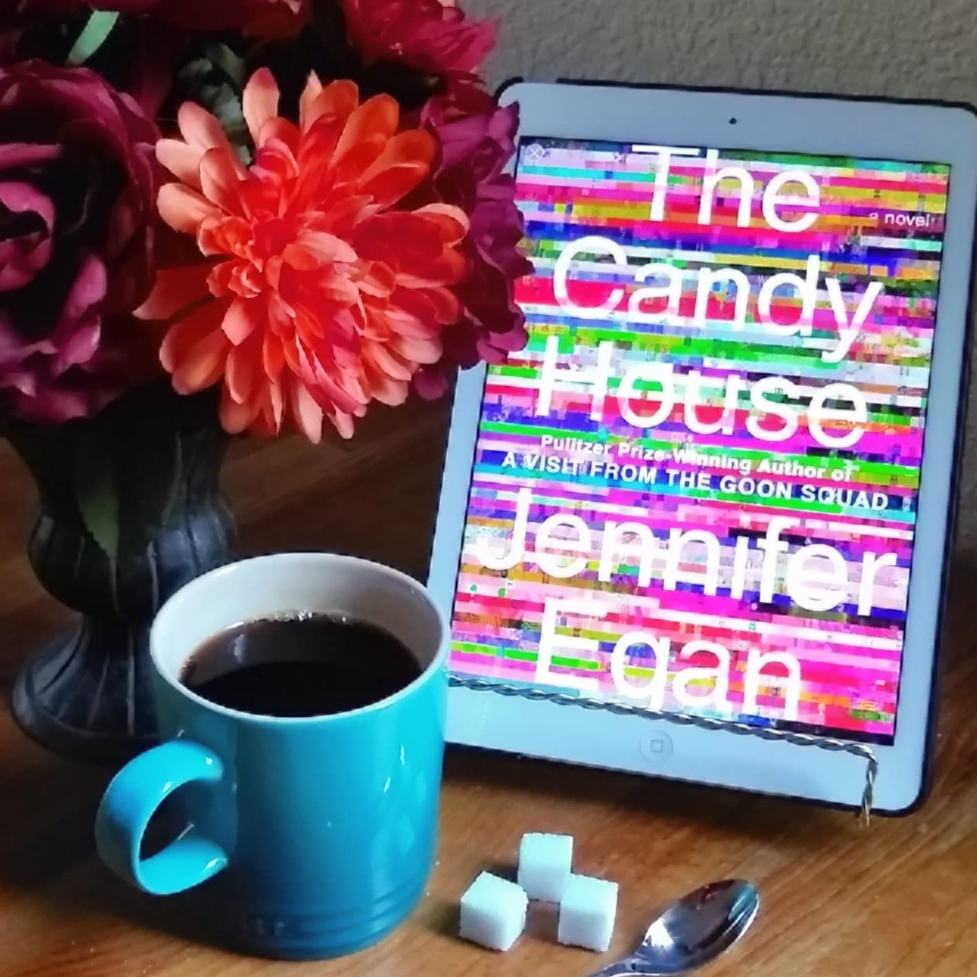 Amazon.com: The Candy House: A Novel: 9781476716763: Egan, Jennifer: Books