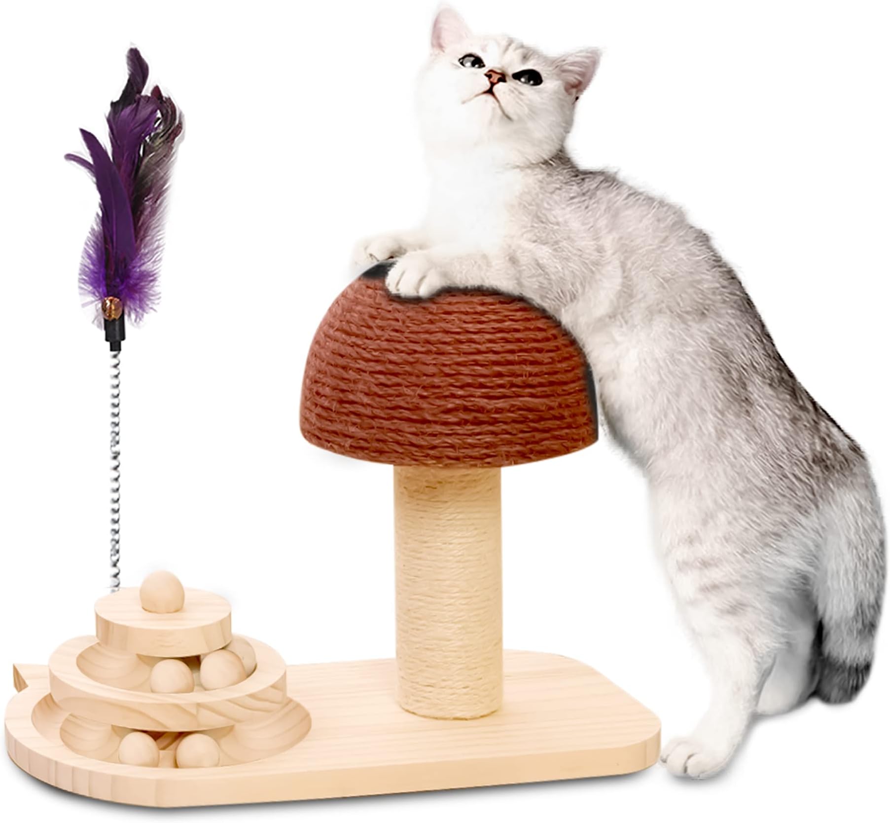 Amazon.com : Paw Paw Babe 3 in 1 Cat Scratch Post - Wooden Base ...