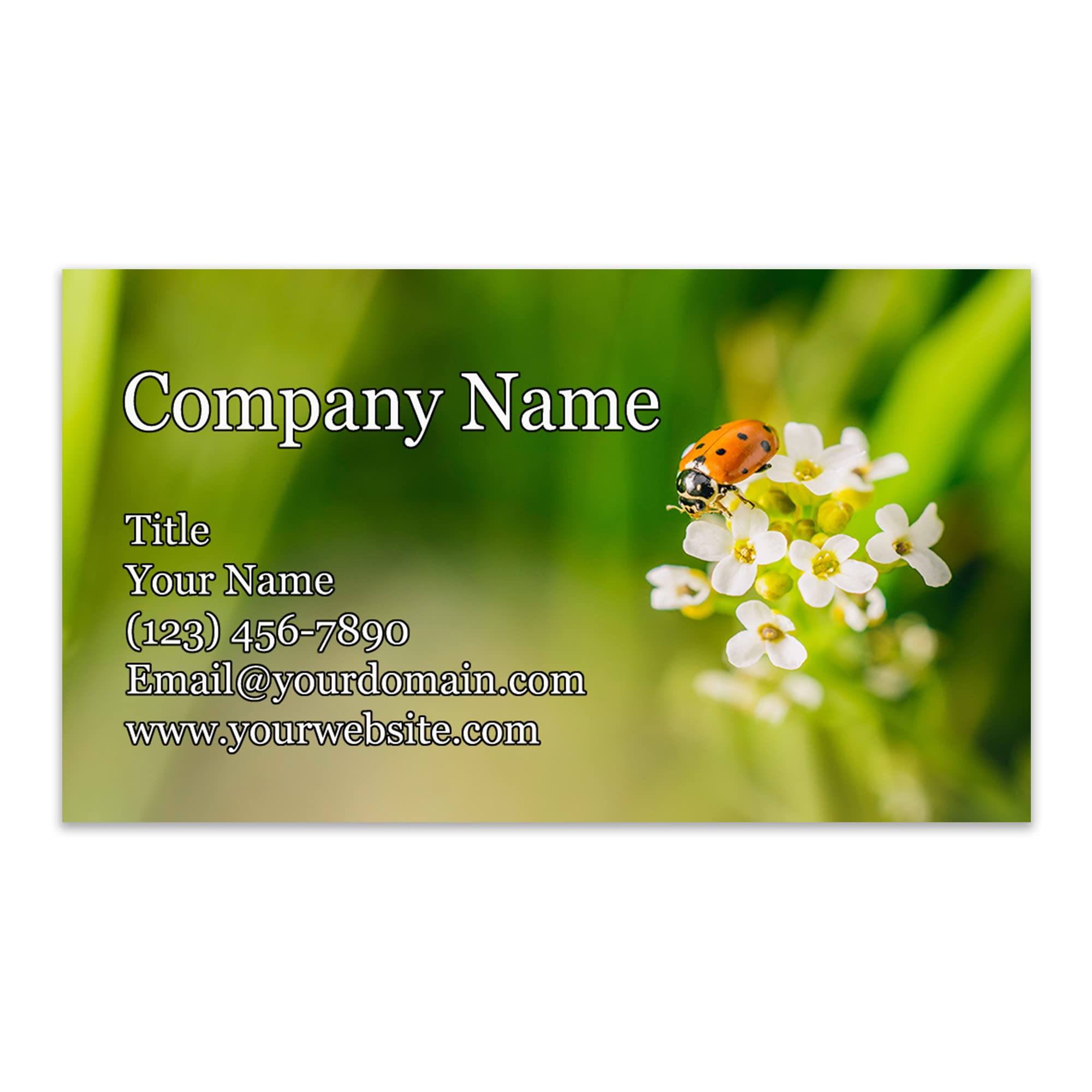 Visiting Card Design For Homoeopathic Doctors Business Card Design
