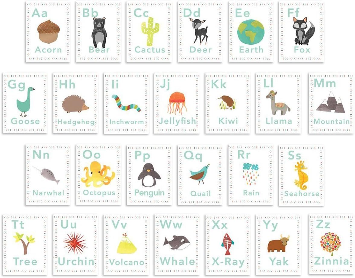 Amazon.com: English Alphabet 5x7 Wall Cards, Alphabet Wall, Our World ...