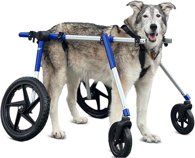 Amazon.com: Walkin’ Wheels Full-Support 4-Wheel Wheelchair for Large ...