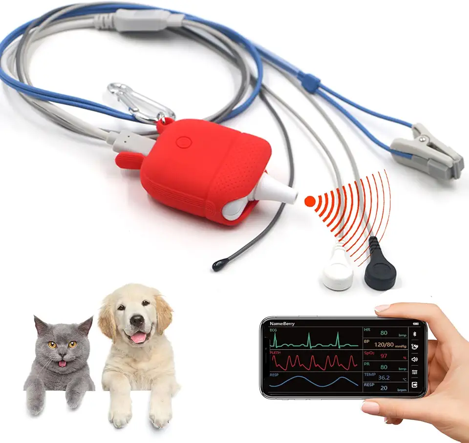 Using A Pulse Oximeter For Dogs: Common Questions Answered | PetShun
