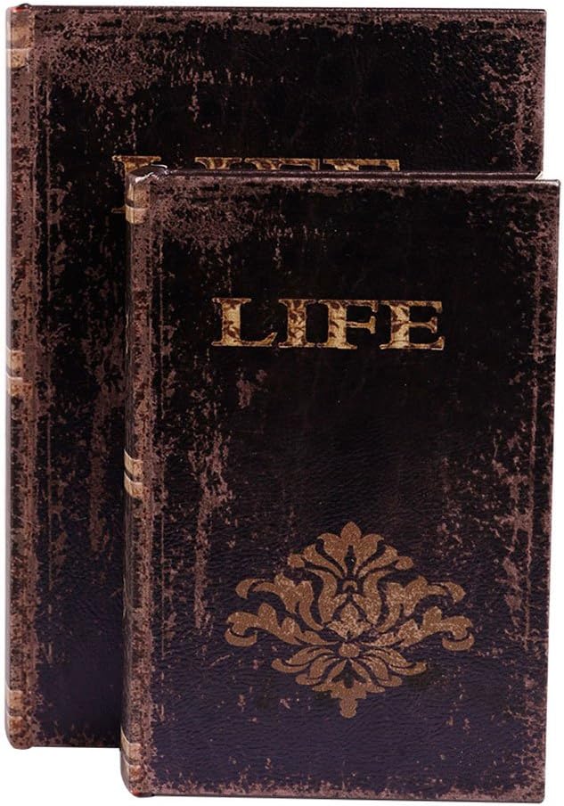 Amazon.com: Creative Co-Op MDF & Canvas Book, Set of 2 All The Little ...