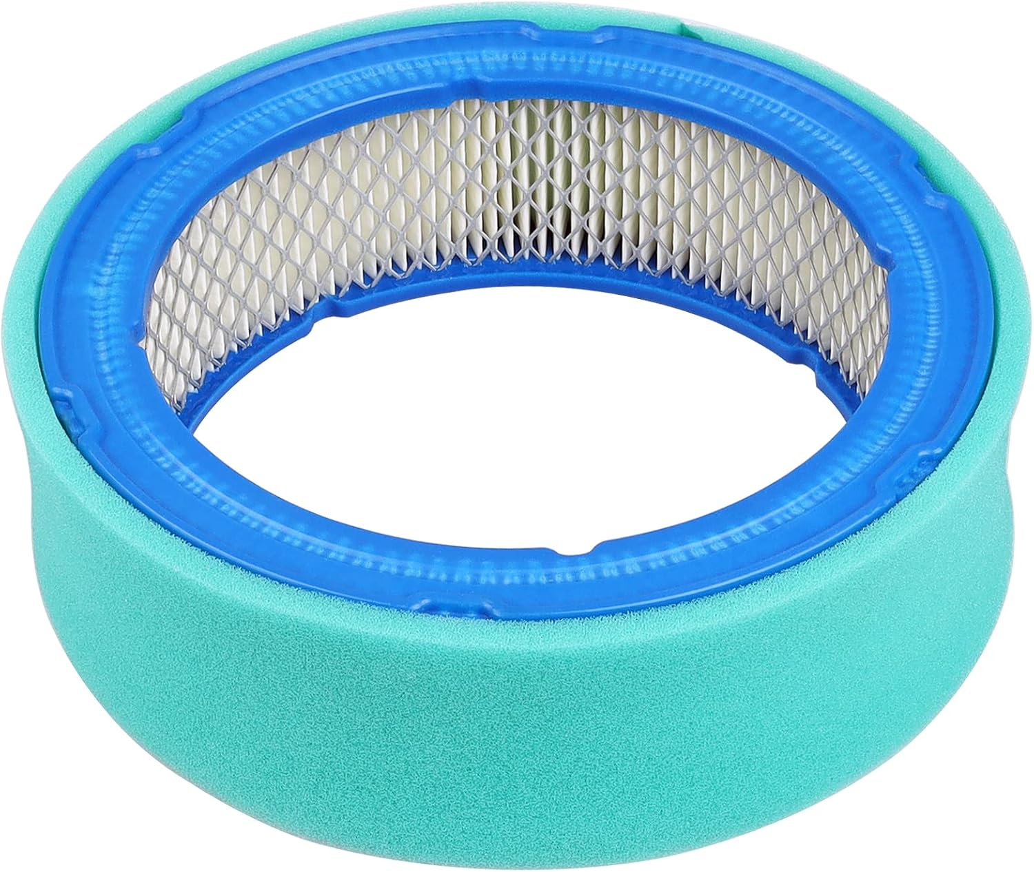 Amazon.com: 394018 Air Filter for Briggs & Stratton 394018s 392642 ...