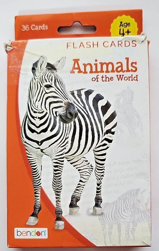 Amazon.com: Flash Cards Bendon - Animals of the World - 36 Count : Toys ...