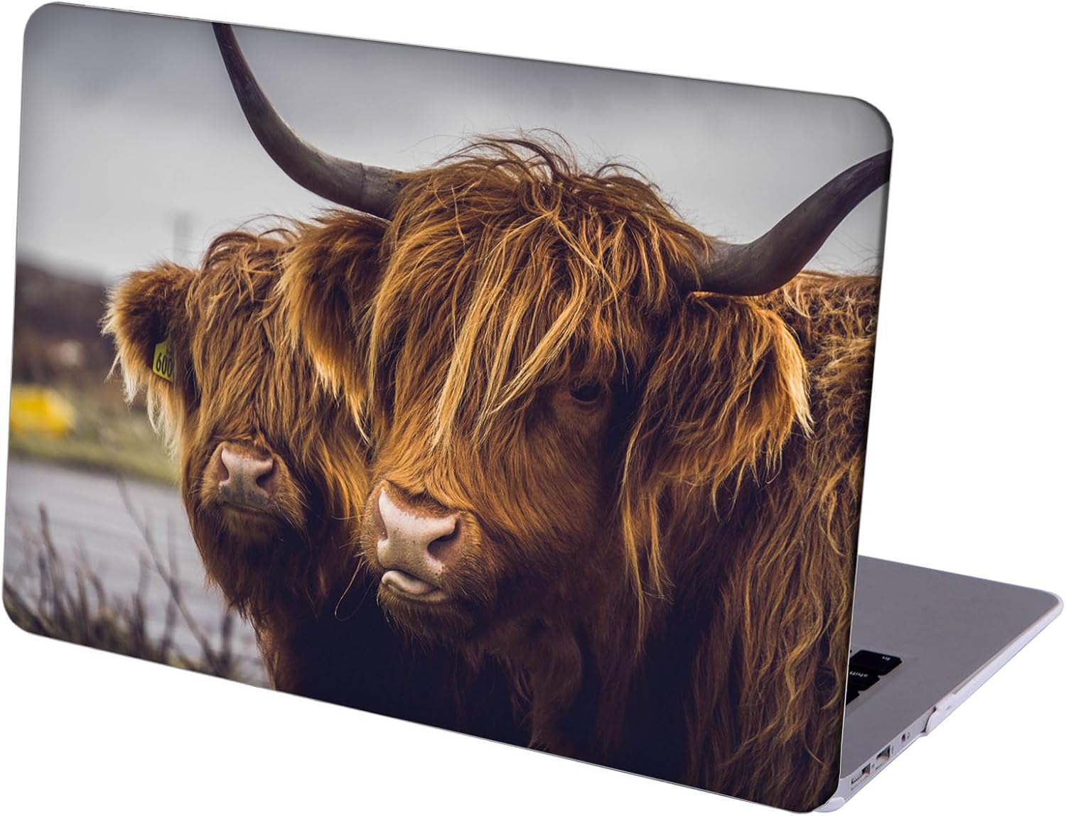 Amazon.com: MINGDAO Compatible with MacBook Pro 14 inch Hard Protective ...