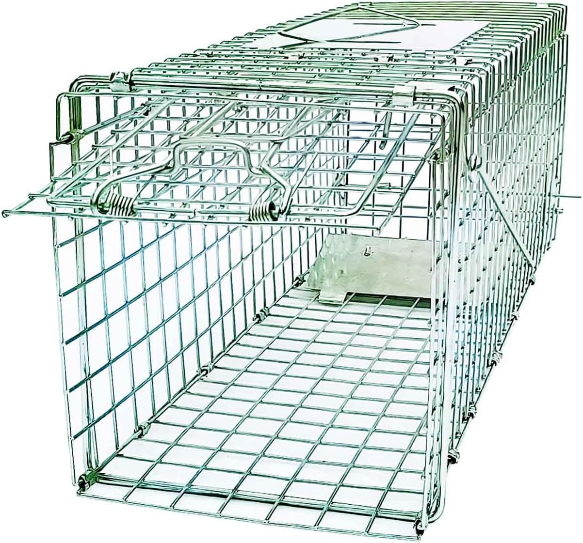 Amazon.com: Folding Small Collapsible Humane Live Animal Cage Trap No ...