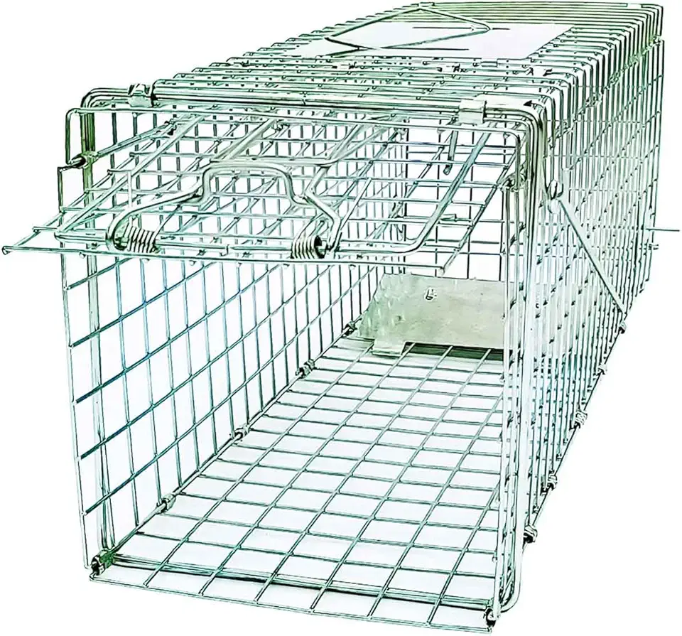 Trapping Feral Cats: Using Drop Traps For Effective Capture | PetShun