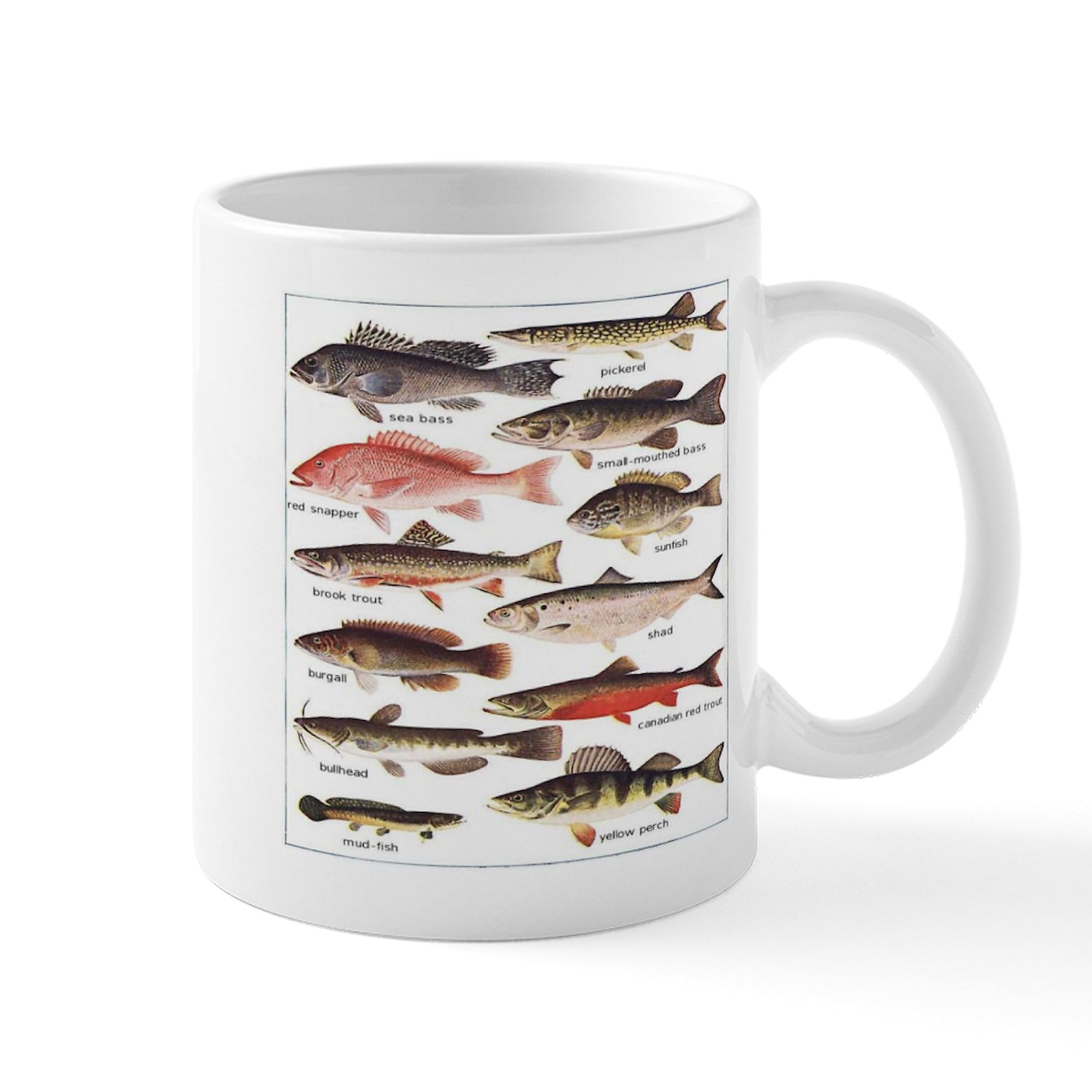 Amazon.com | CafePress Fish Mugs 11 oz (325 ml) Ceramic Coffee Mug ...