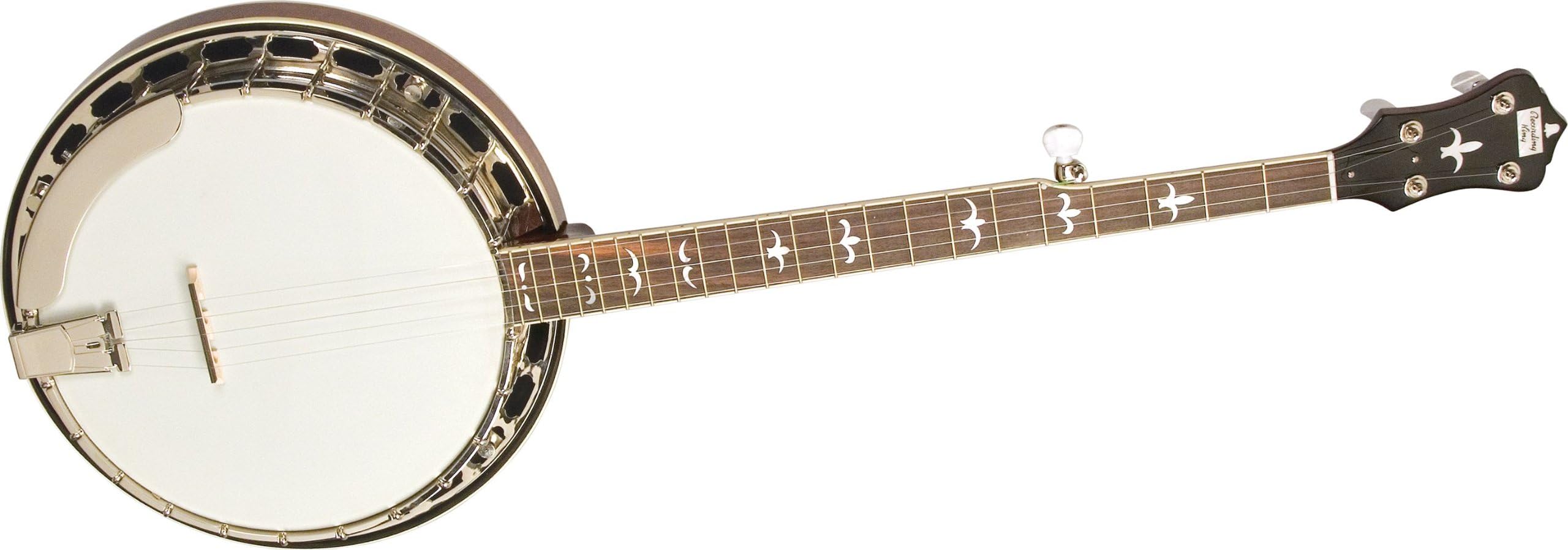 Amazon.com: Recording King RK-R20 Songster Banjo : Musical Instruments