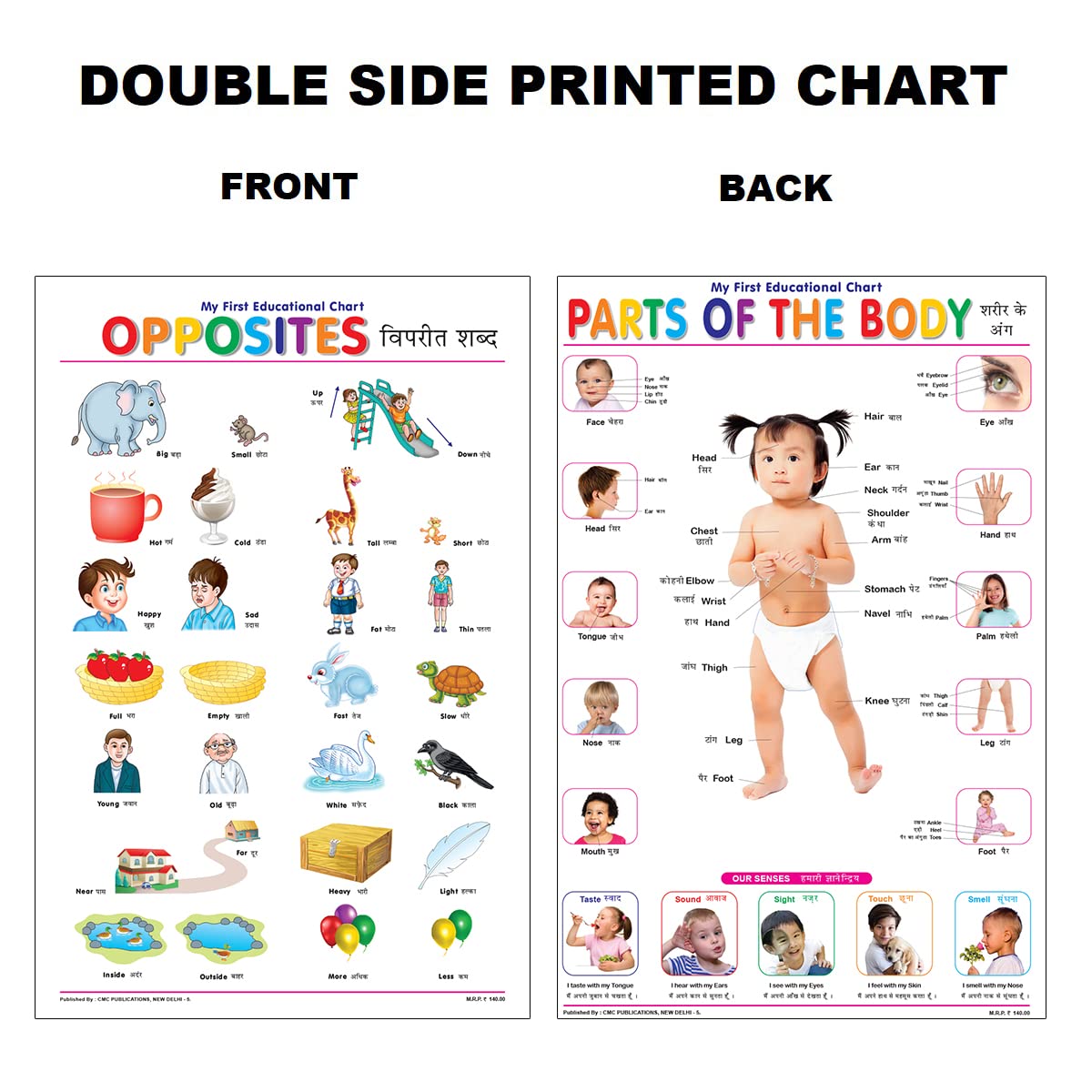 Buy Parts of Body and sites Double Side Printed Chart for Kids Perfect ...