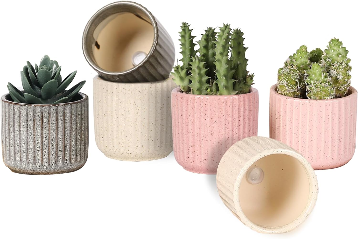 Amazon.com : HANJION 2.75 inch Mini Ceramic Succulent Plant Pots 6 Pack ...