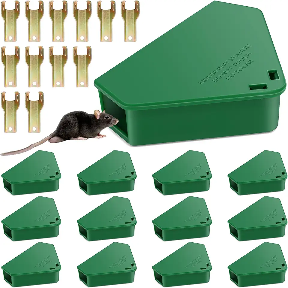 Cat Rat Poison Symptoms: How To Recognize And Treat Poisoning In Cats ...