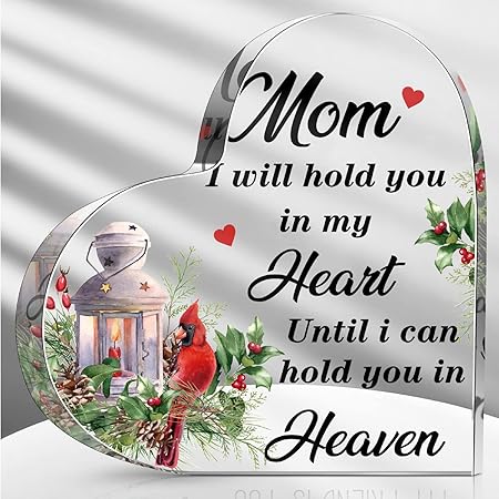 Amazon.com: Red Memorial Cardinal Gift Sympathy Bereavement Gift Dad ...