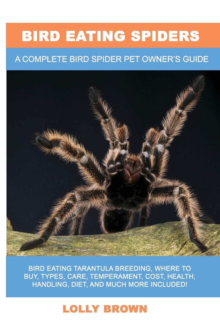 Tarantula Eating A Bird Goliath Bird Eater For Sale Imperial