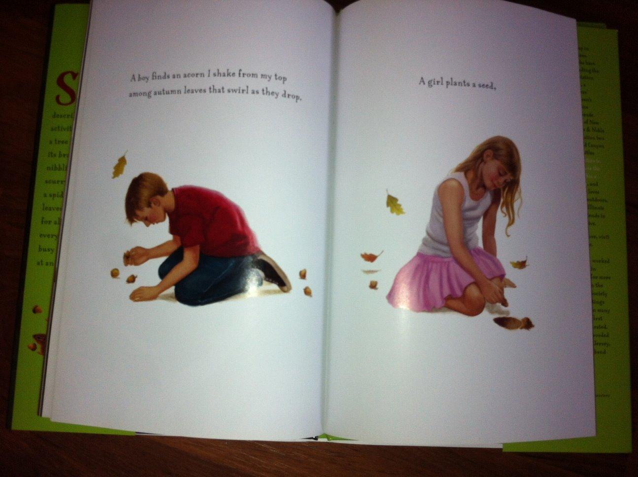 Amazon.com: The Busy Tree: 9780761455509: Ward, Jennifer, Falkenstern ...