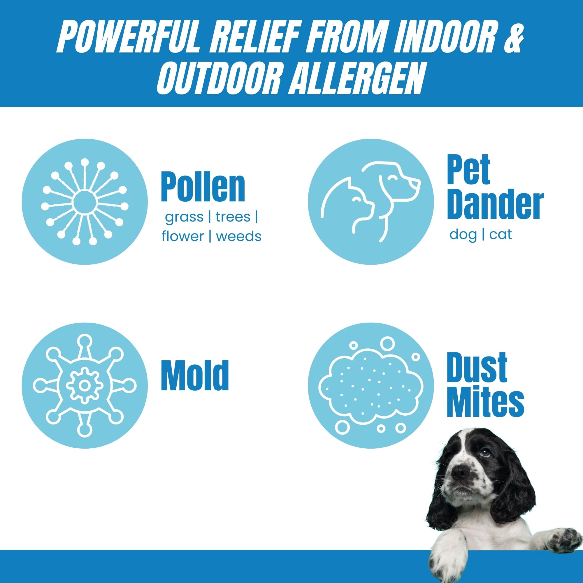 Timely Allergy Medicine L...B0DW97PJDL | Encarguelo.com.ec