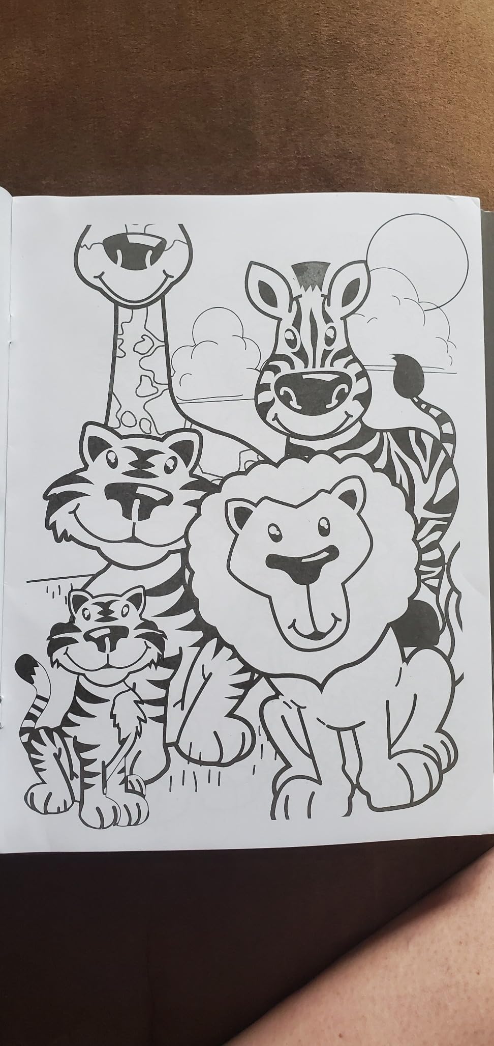 Amazon.com: Zoo Animal Coloring Books - Bulk Pack of 24, 9"x11" Animal ...