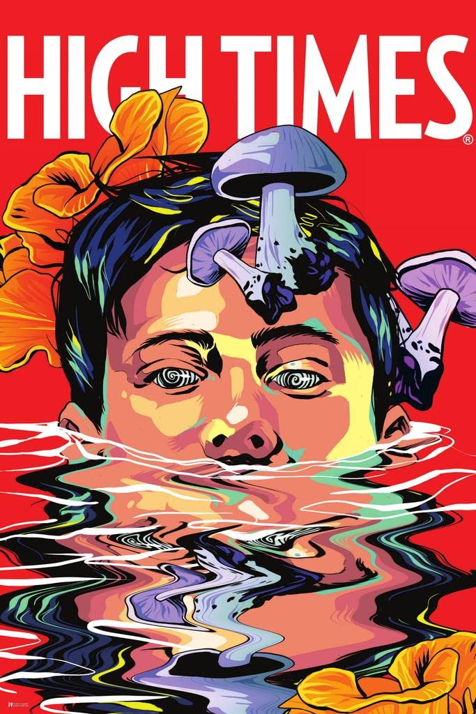 Amazon.com: High Times Magazine Poster Weed Marijuana Accessories ...