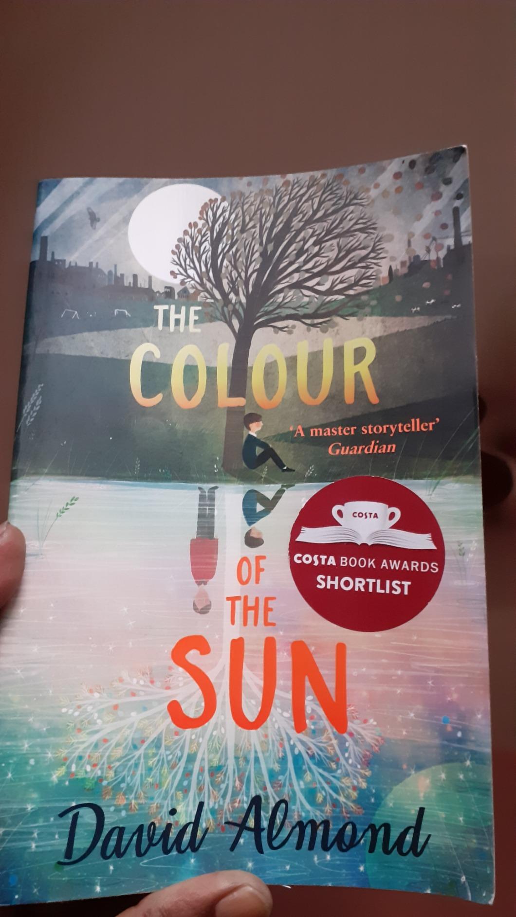 THE COLOUR OF THE SUN : Almond, David: Amazon.in: Books