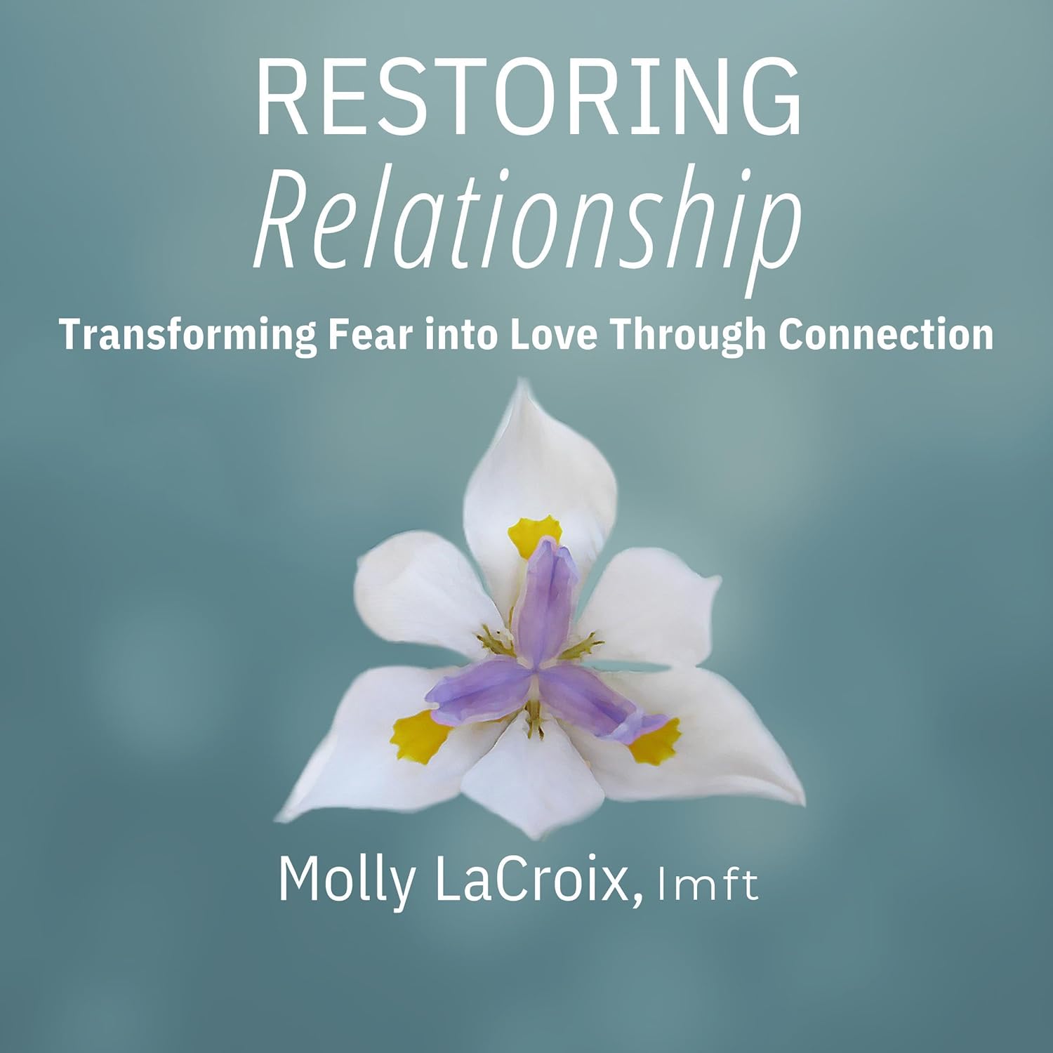 Amazon.com: Restoring Relationship: Transforming Fear into Love Through Connection (Audible ...