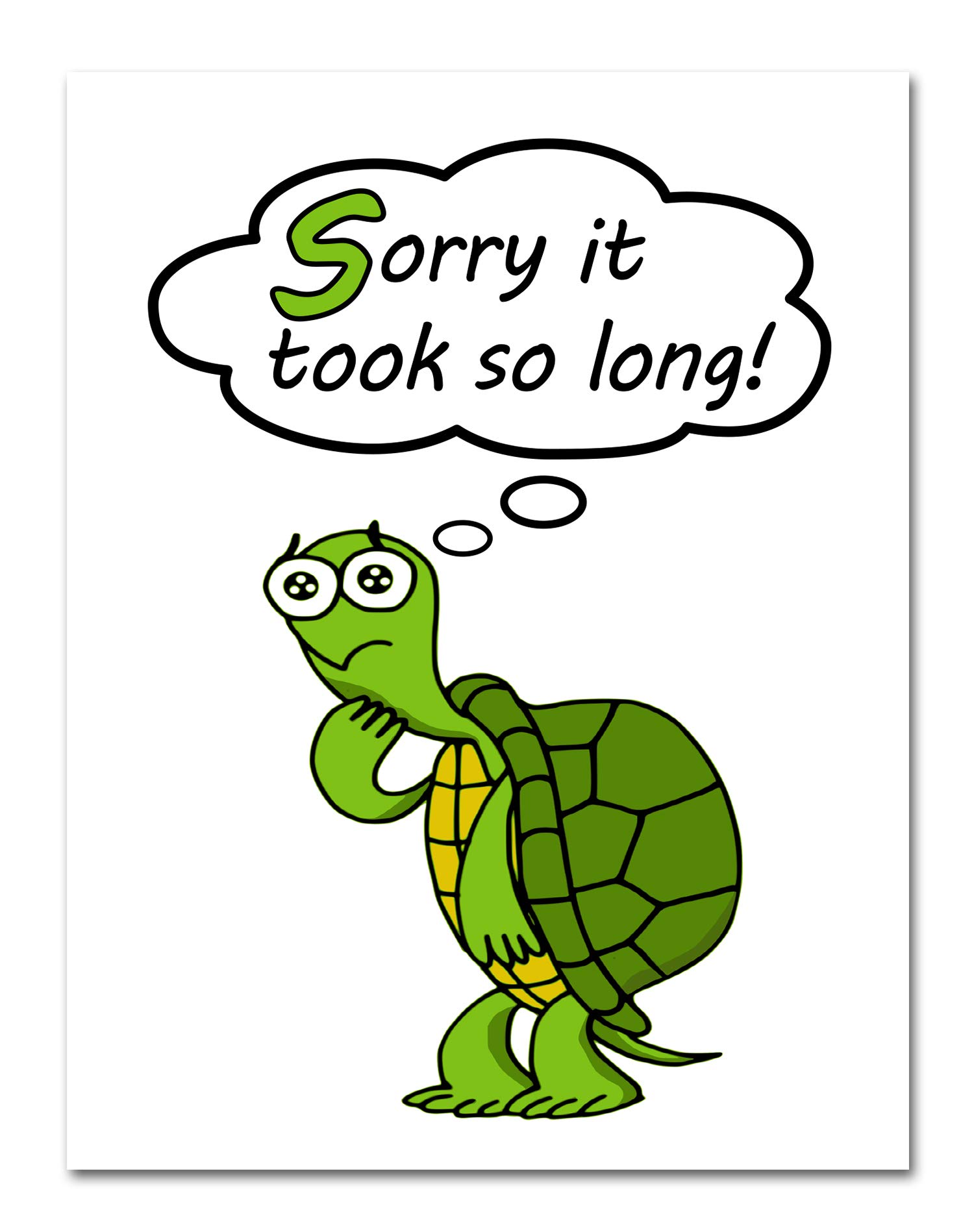 Amazon.com : Small World Greetings Sorry It Took So Long Turtle Cards ...