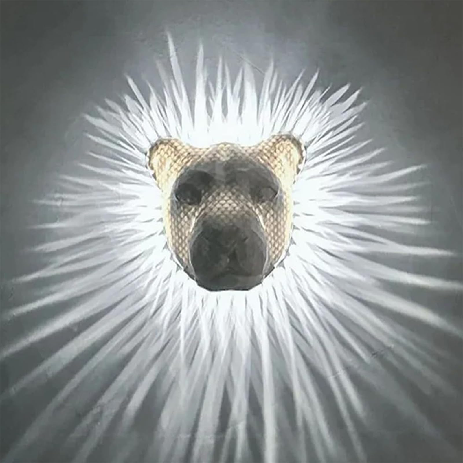 Meokro 3D Animals LED Wall Light Night Owl Wall Lights Wall Bald Eagle ...