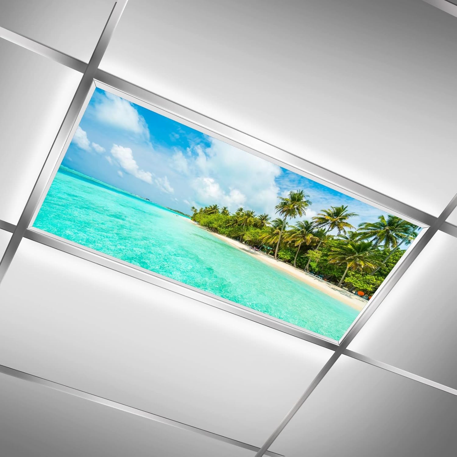 BIROSVSY Fluorescent Light Covers for Classroom Ceiling Lights – 2x4ft ...