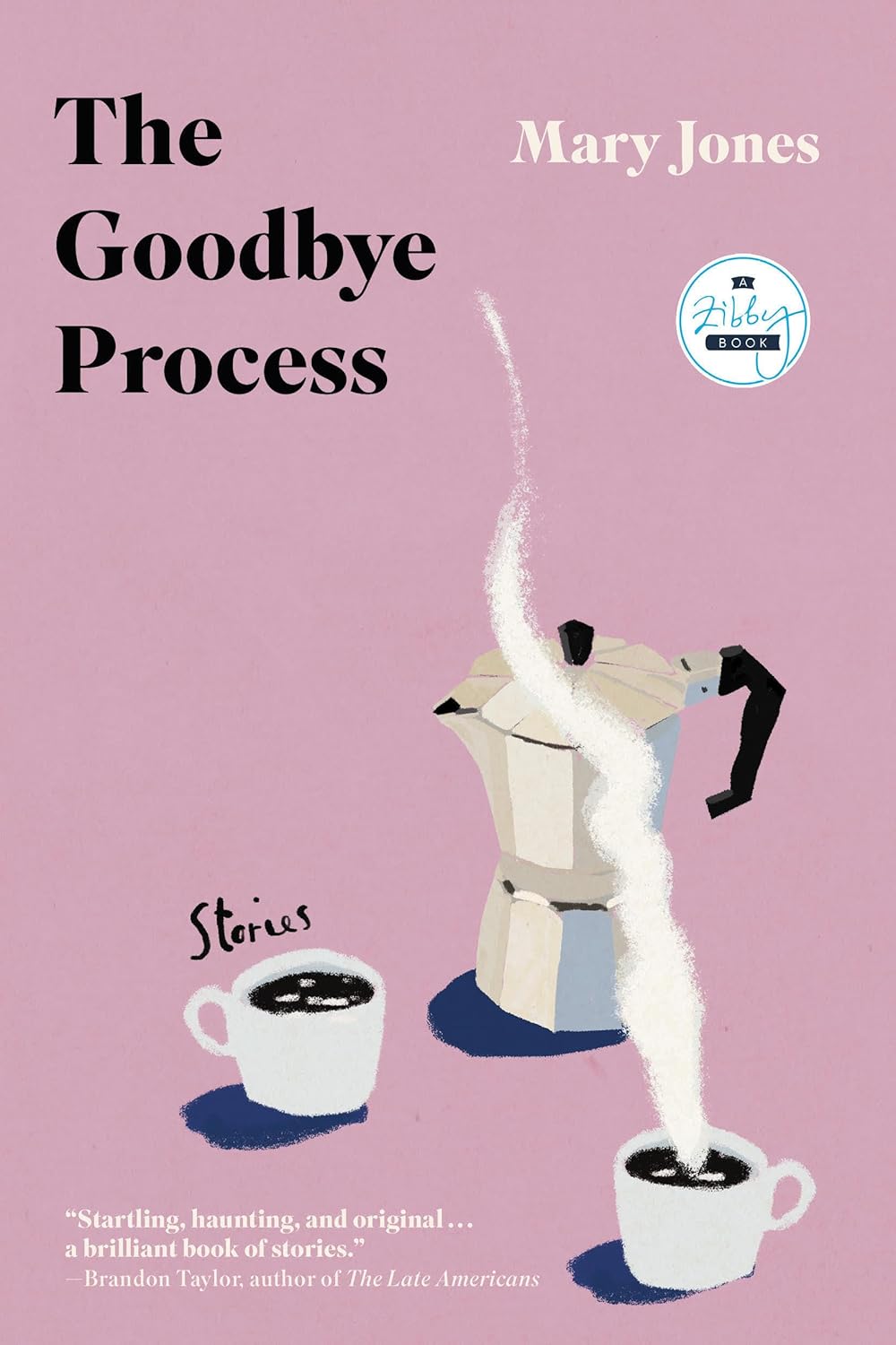 Amazon | The Goodbye Process: Stories | Jones, Mary | Anthologies