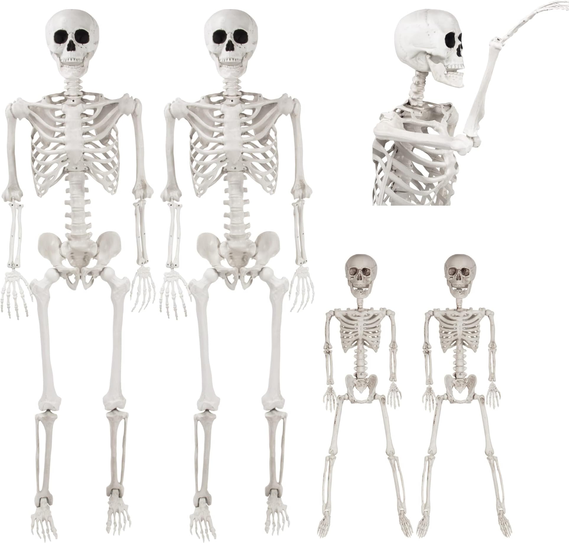 Amazon.com: Posable Life Size Human Skeleton Family Set of 4-2 Adult (5 ...