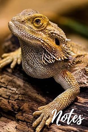 Bearded Dragon Notebook: unique bearded dragons gift for animal and ...
