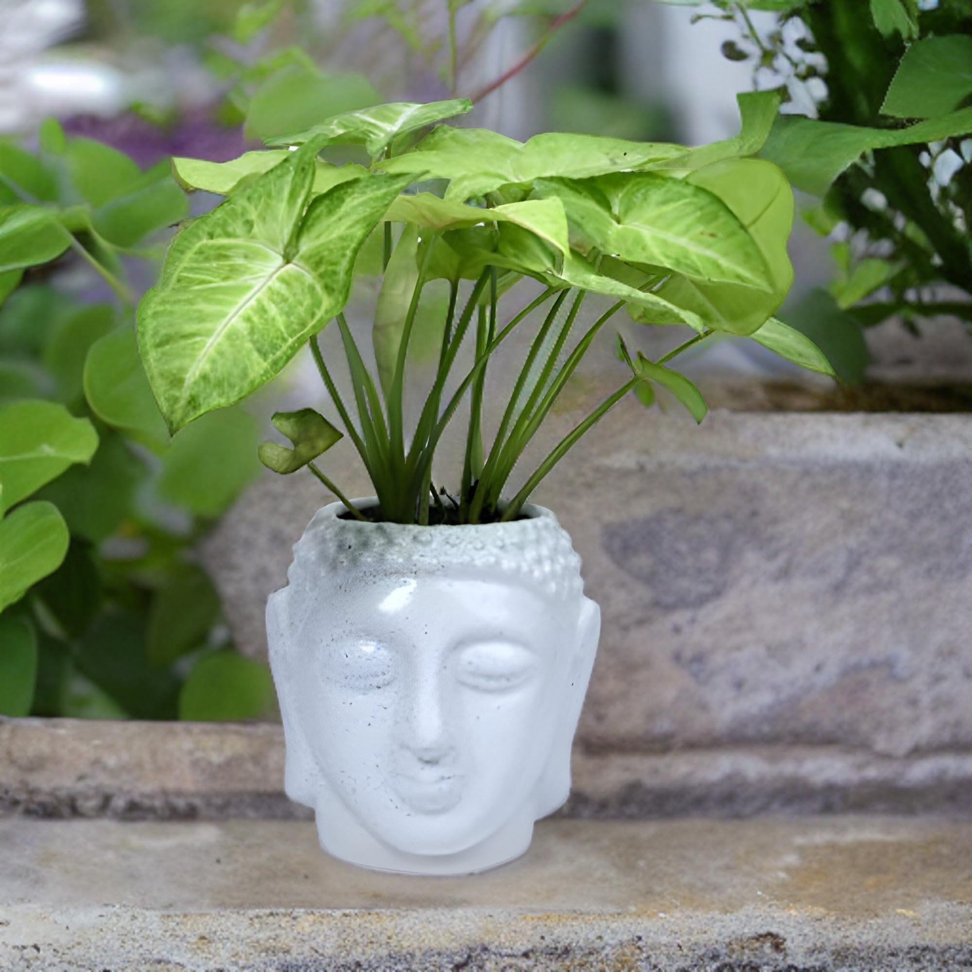 Justoriginals Buddha Shape Ceramic Plant Container (Height 16.5Cm ...