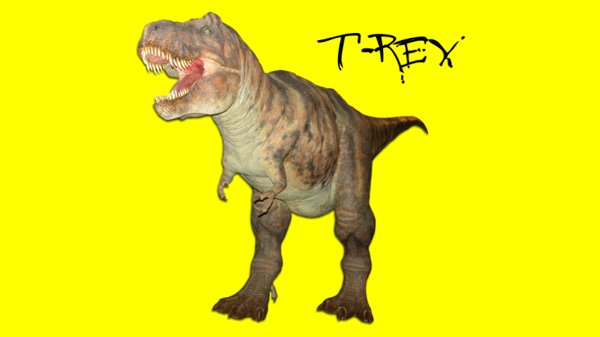 Toddler Animal Sounds - Things that Roar!:Amazon.com:Appstore for Android