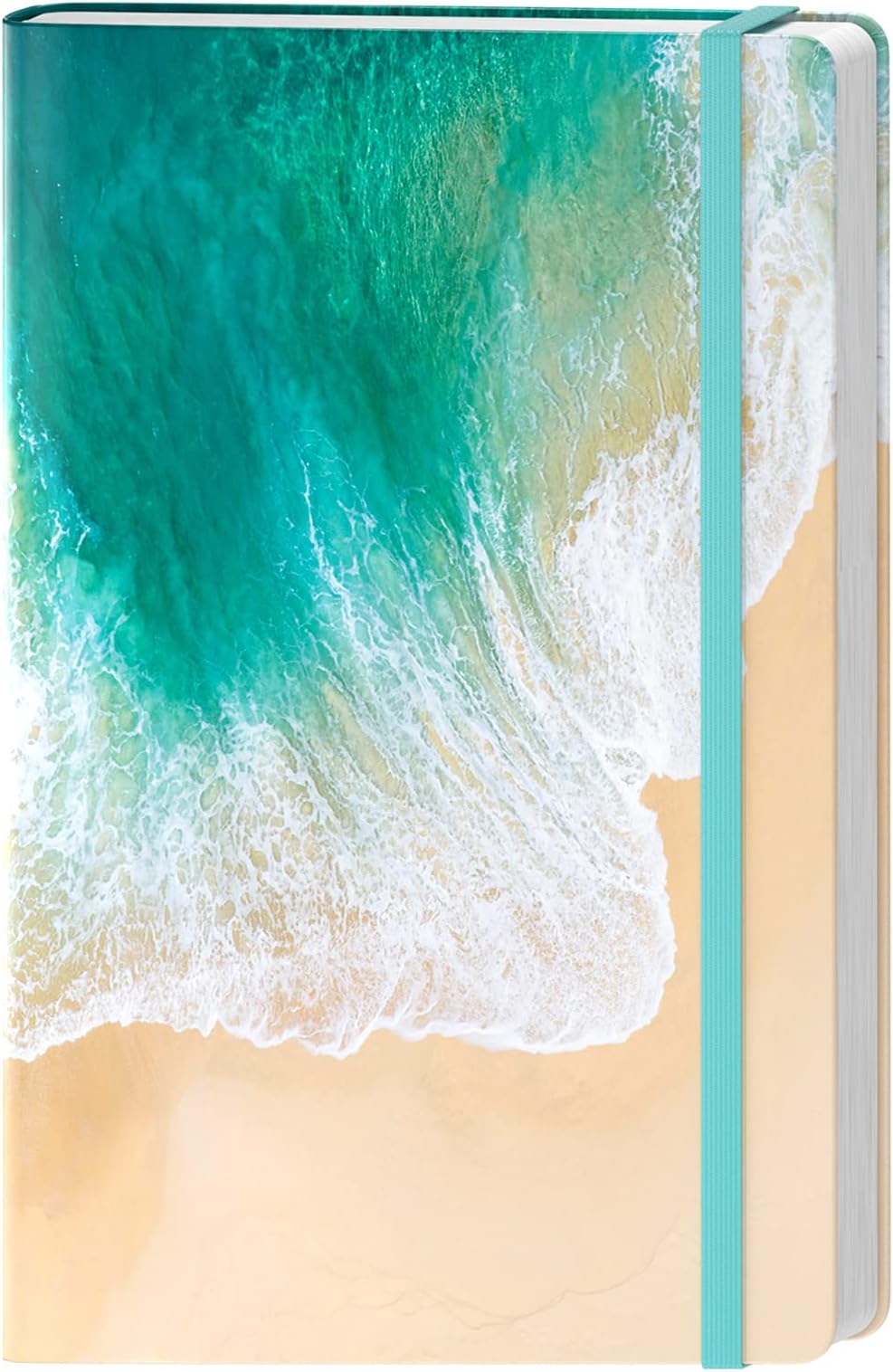 Amazon.com : Abalone Shell/Lion’s Paw Shell/Scallop Shell Journal, 30 ...