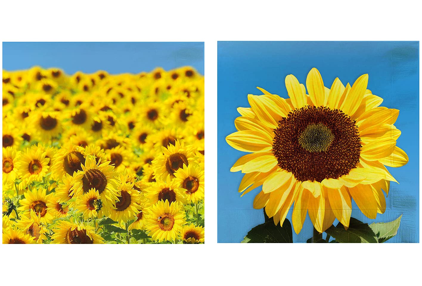 Snapklik.com : 75-Count Disposable Paper Party Napkins Sunflower Fields ...