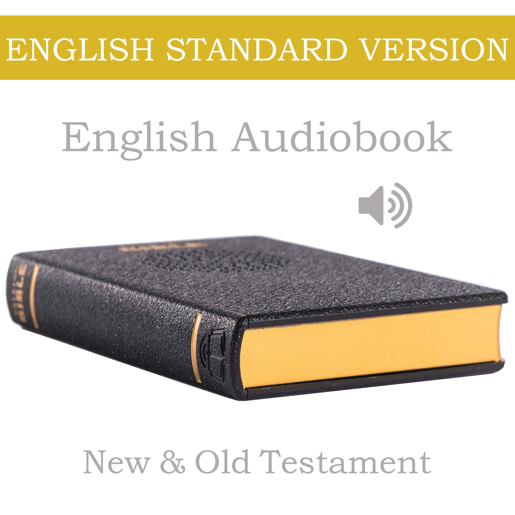 Snapklik.com : Talking Bible - Electronic Holy Bible Audio Player In ...