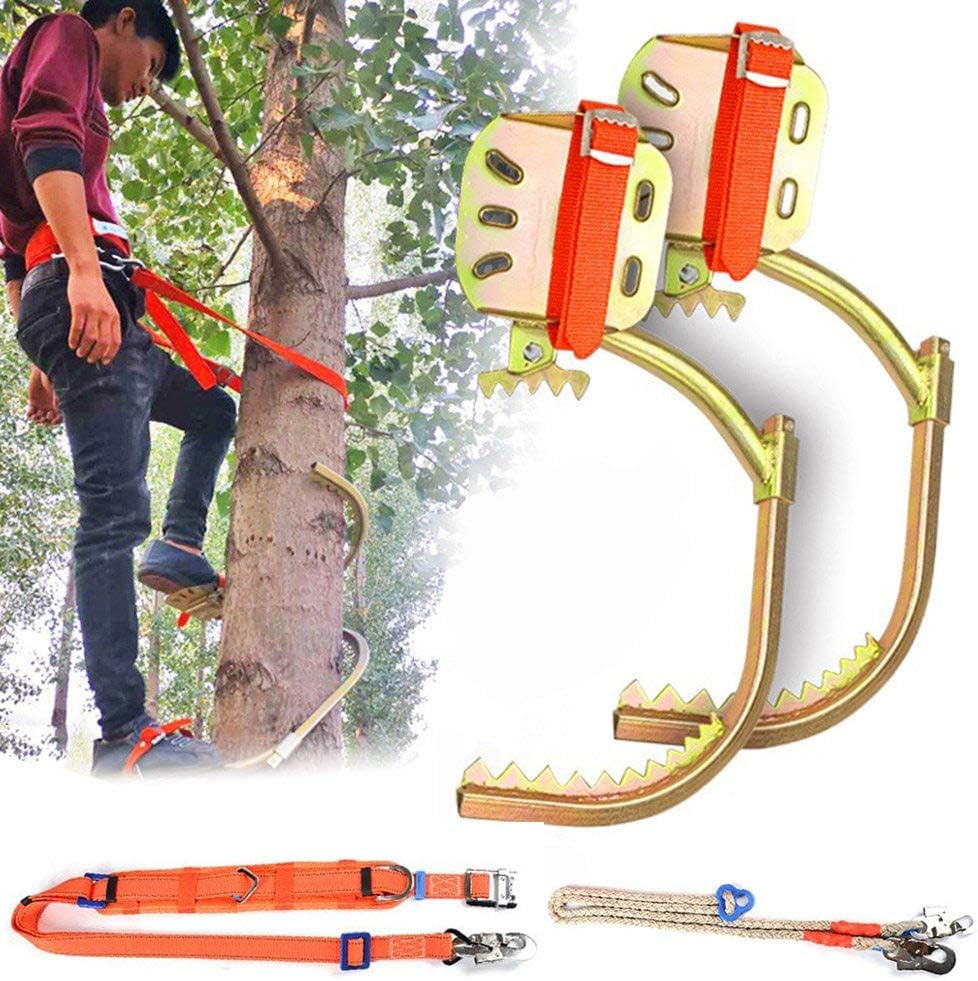 Amazon.com: Tree Pole Climbing Spike Set, Stainless Steel Claw Climbing ...