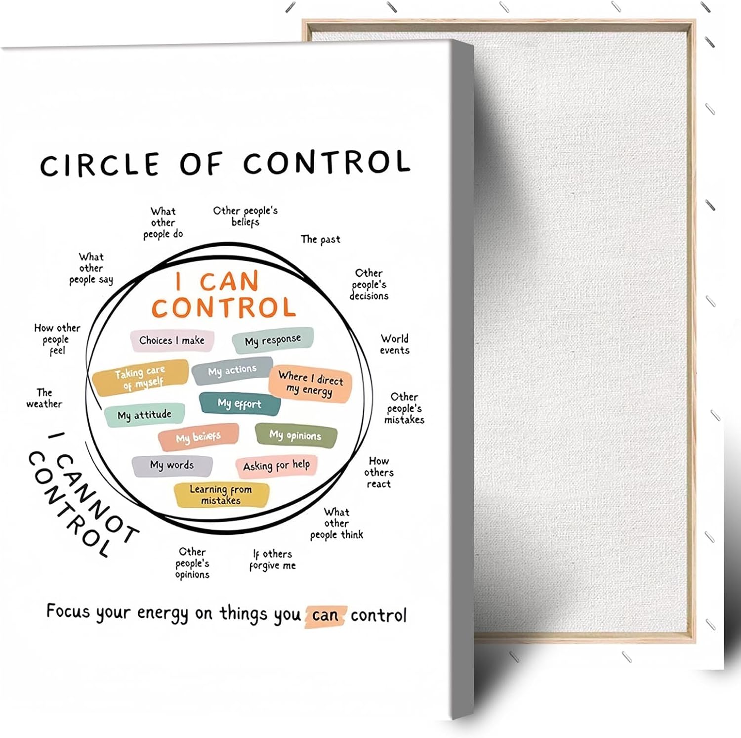 Amazon.com: Mental Health Canvas Wall Art Circle Of Control Positive ...